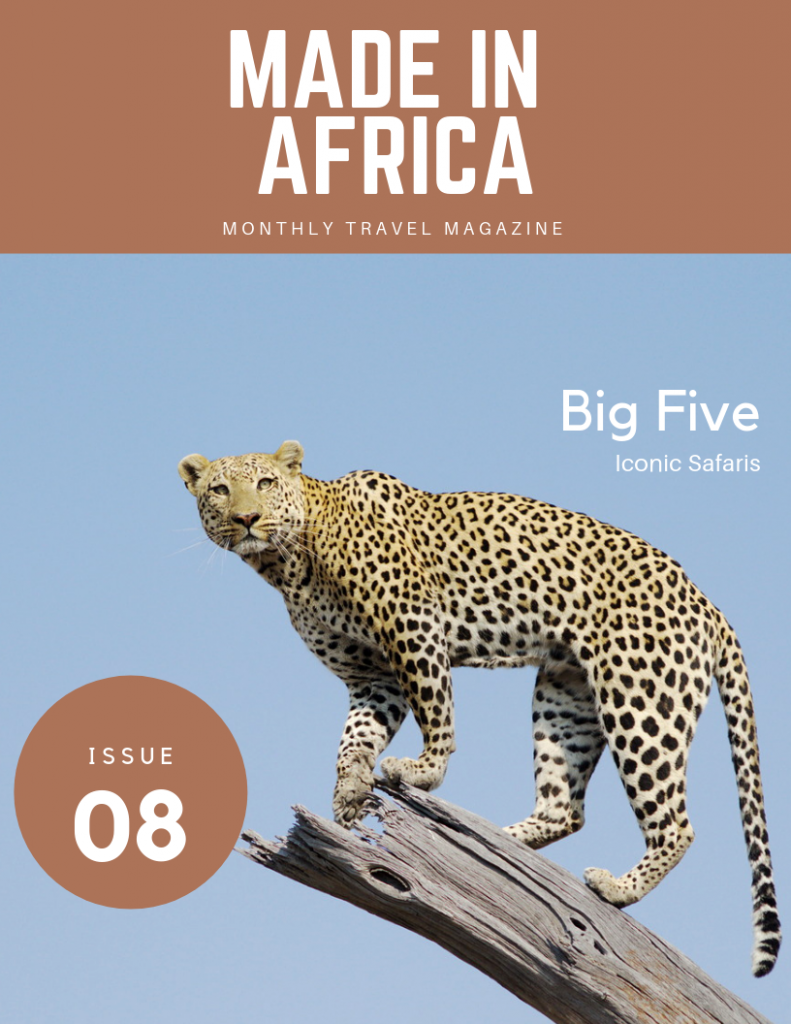 Best Big Five Safaris Guide | Made in Africa Tours and Safaris